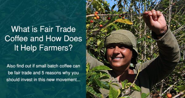 What is Fair Trade Coffee? Where the beans come from & the benefits