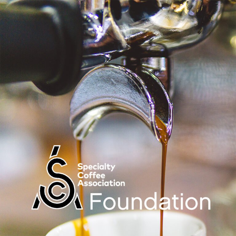 SCA Coffee Barista Training Courses | Making Coffee & SCA Training